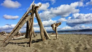 8 Reasons to Visit Double Bluff Beach on Whidbey Island, WA