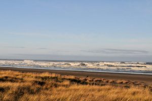 13+ Best Things to Do in Long Beach, WA - Small Town Washington