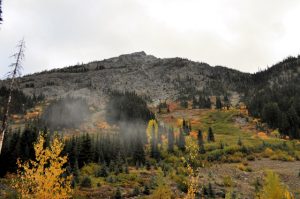 Three Favorite Scenic Fall Drives in Washington State For a Fall Getaway