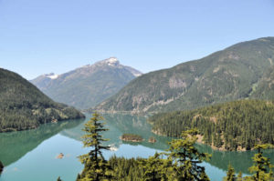 Diablo Lake & Lunch Tour: Dams, Monkeys, and a Green Lake