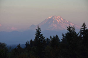 Five Things That Will Surprise You About Kent, Washington