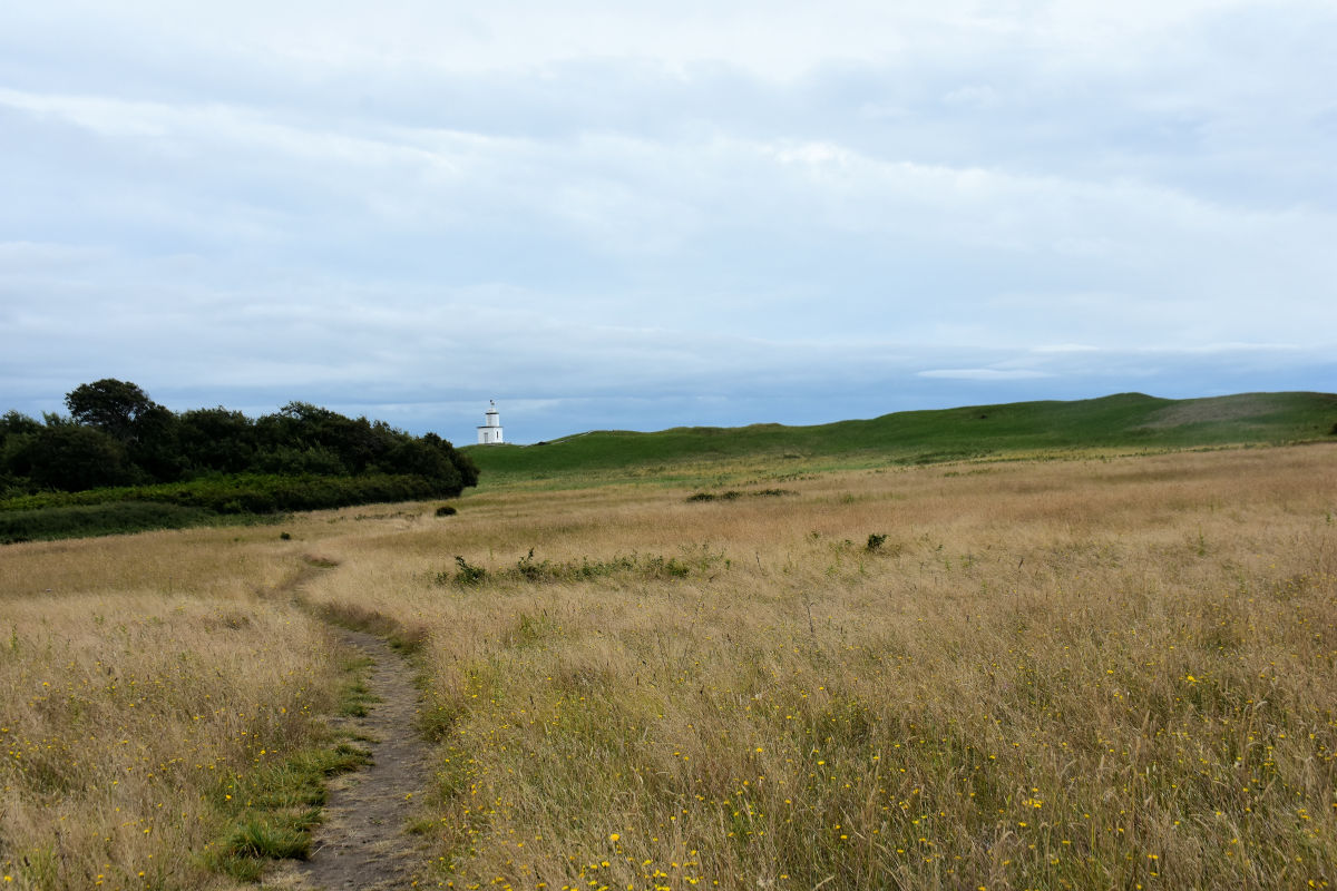 What To Do On San Juan Island • Small Town Washington