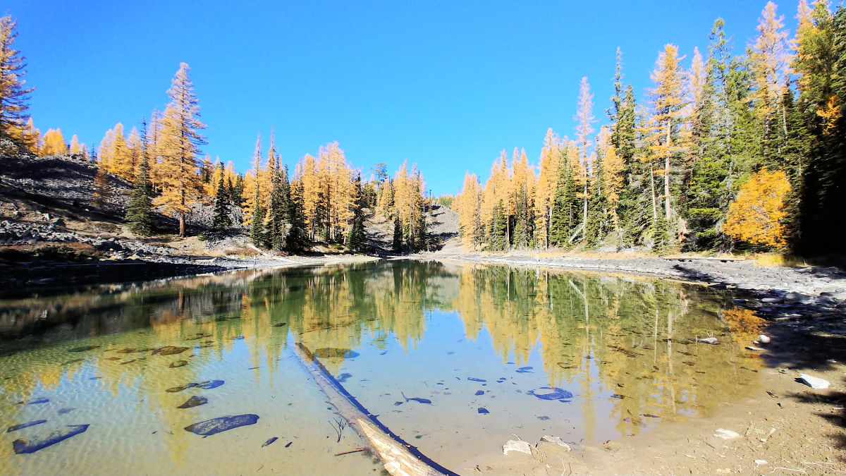 Why You Need To Visit Wenatchee In Fall • Small Town Washington