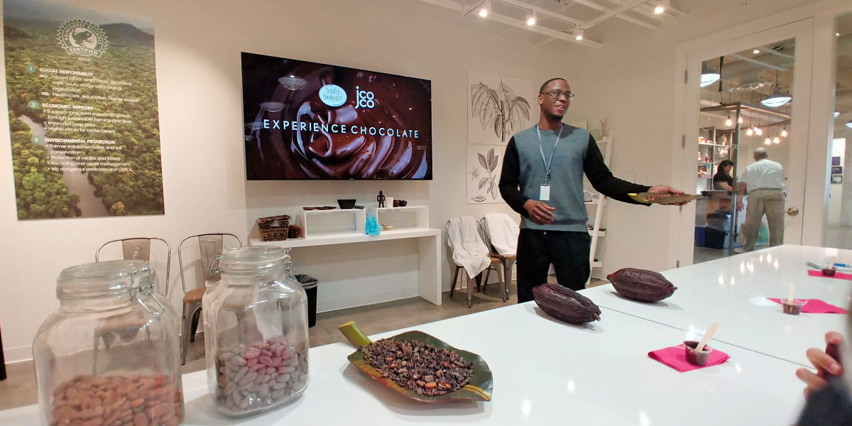 Super Fun Things To Do In Seattle Southside • Small Town Washington