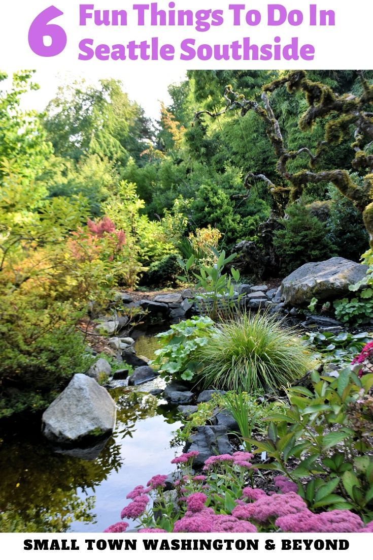 Super Fun Things To Do In Seattle Southside • Small Town Washington