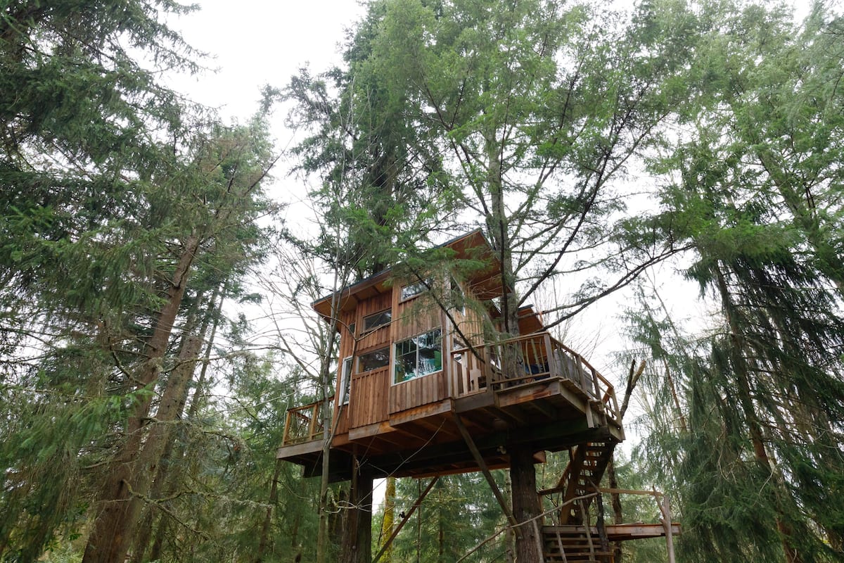 23 Epic Treehouse Rentals in Washington State Worth Booking • Small ...