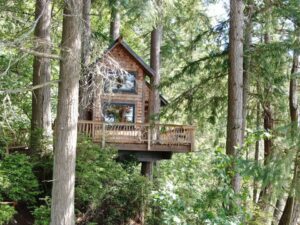 23 Epic Treehouse Rentals in Washington State Worth Booking • Small ...
