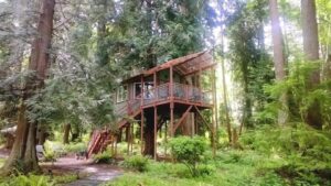 23 Epic Treehouse Rentals in Washington State Worth Booking • Small ...