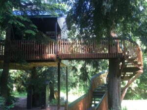 23 Epic Treehouse Rentals in Washington State Worth Booking • Small ...