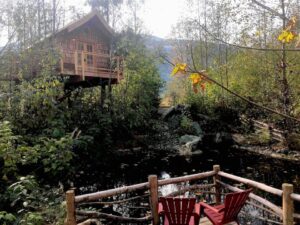 23 Epic Treehouse Rentals in Washington State Worth Booking • Small ...