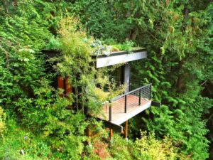 23 Epic Treehouse Rentals in Washington State Worth Booking • Small ...