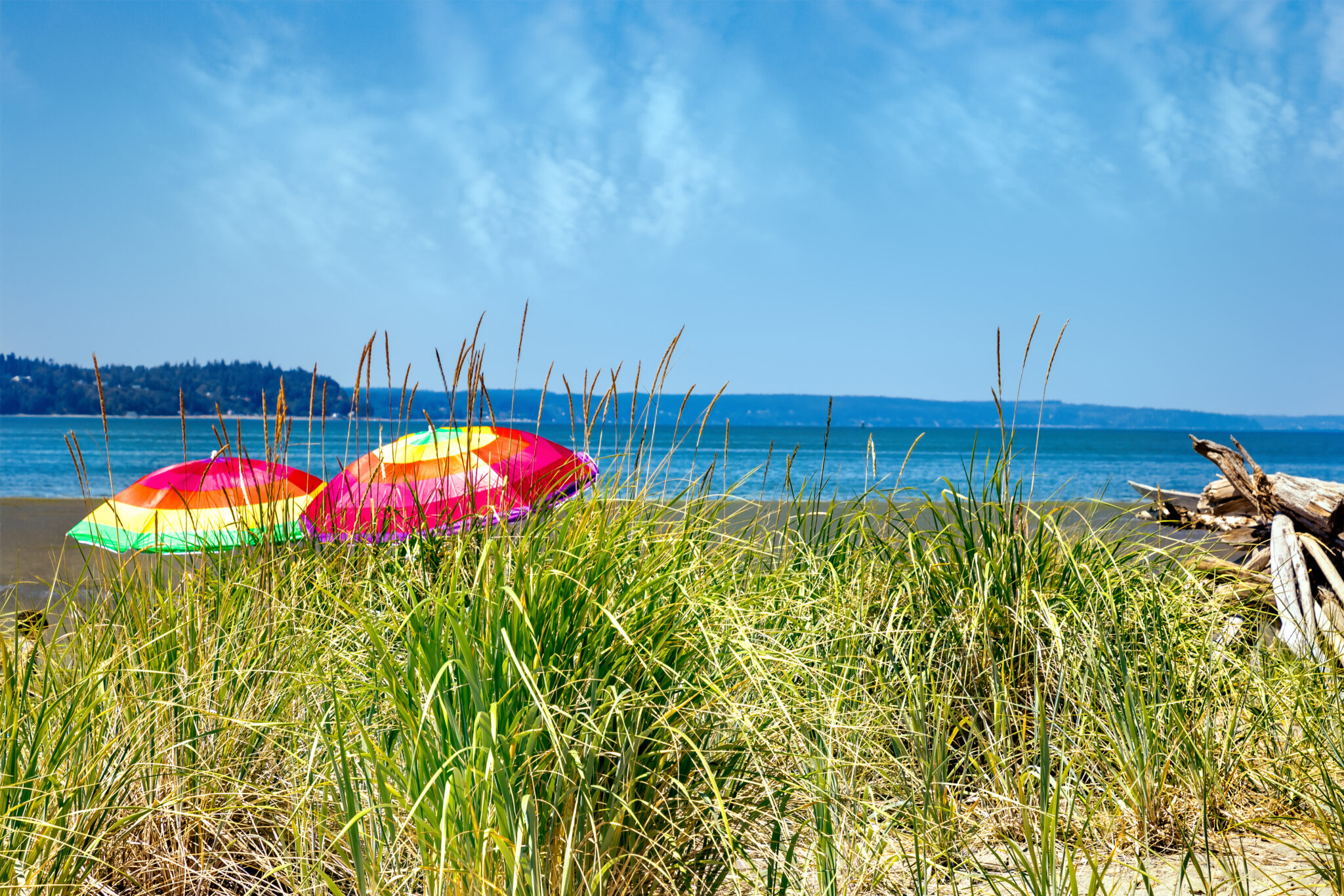 15 Wild + Wonderful Washington Beaches • Small Town Washington