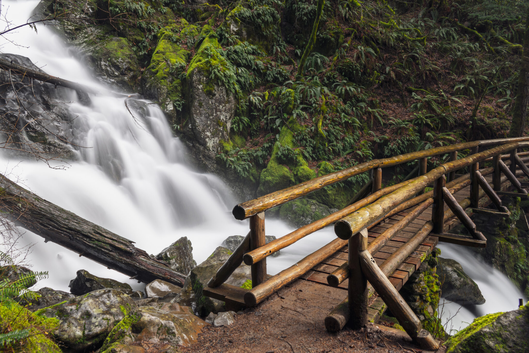 21 Best Hikes in Washington State • Small Town Washington