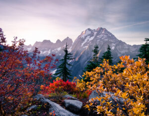 9 Stunning & Surprising Fall Hikes in Washington State • Small Town ...