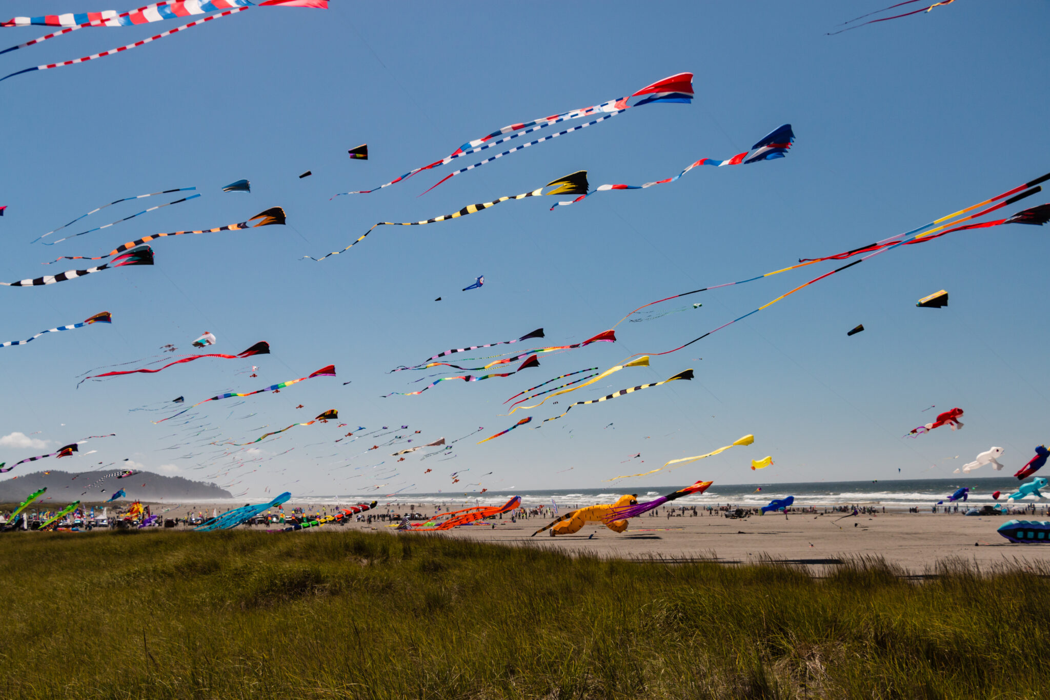 15 Wild + Wonderful Washington Beaches • Small Town Washington