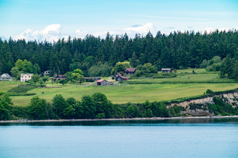 8 Reasons to Visit Double Bluff Beach on Whidbey Island, WA