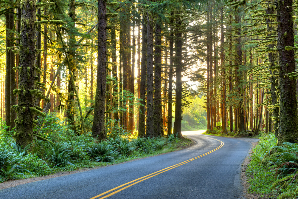9 Best Road Trips in Washington State • Small Town Washington
